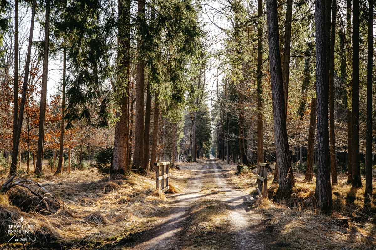 Mandichosee | Wandern durch den Augsburger Stadtwald