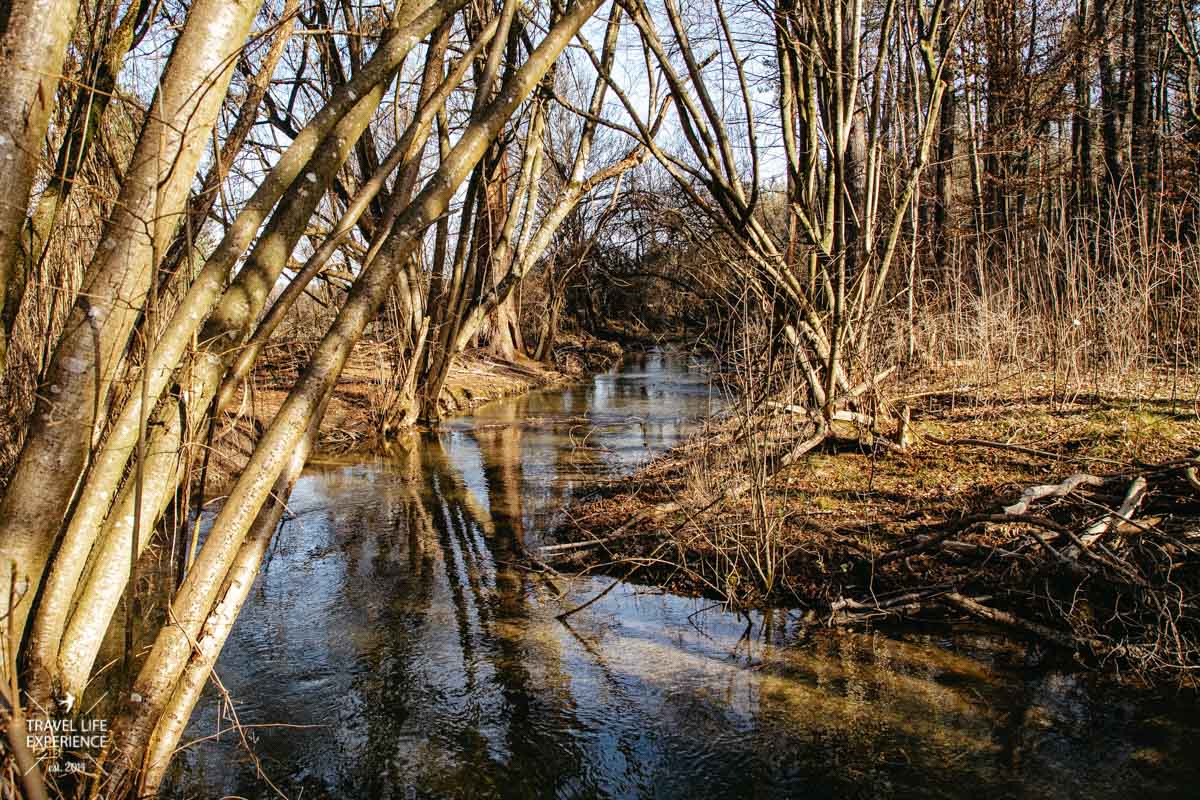Mandichosee | Wandern durch den Augsburger Stadtwald