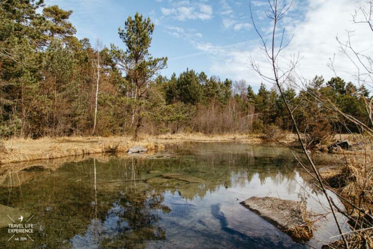 Mandichosee | Wandern durch den Augsburger Stadtwald