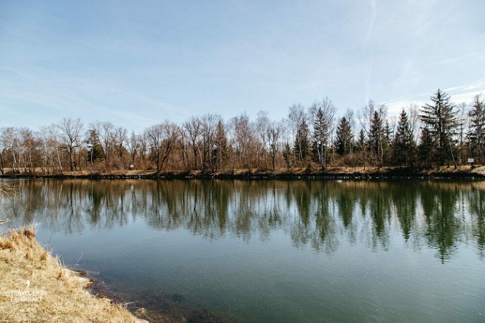 Mandichosee | Wandern durch den Augsburger Stadtwald